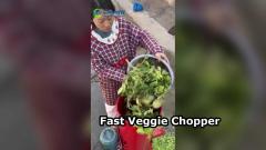 Vegetable Chopping Machine Fast & Easy