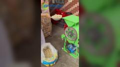 Automatic Peanut Sheller Machine Boosts Output