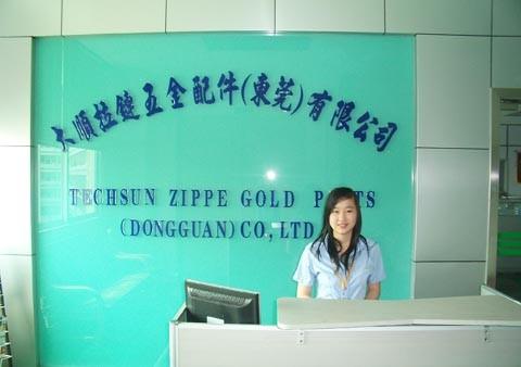 確認済みの中国サプライヤー - Dashun zipper Hardware Co., Ltd.