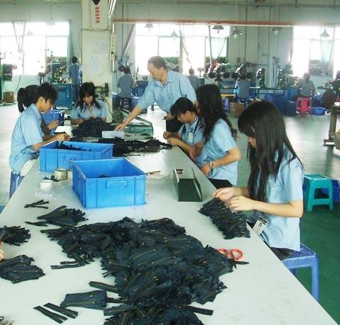 確認済みの中国サプライヤー - Dashun zipper Hardware Co., Ltd.