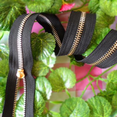 中国 厚い尾金属は荷物およびハンドバッグのための金の歯をファスナーを絞める 販売のため