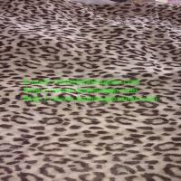 China Chiffon printing fabric for sale