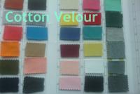 China COTTON VELOUR FABRIC for sale
