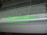 China SPUN VOILE GREIGE FABIRC SUPPLYING for sale