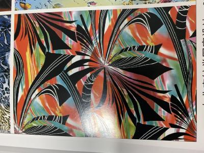 China Digital spun polyester voile super twisted 2s/2z 1900t printing highest quality MADE IN JAPAN for sale