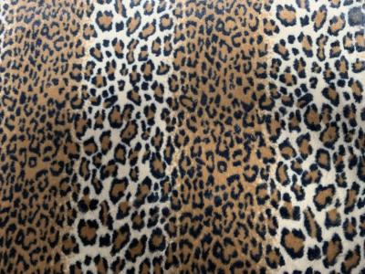 Velboa Printing fabric soft finish with high quality zebra design, snake design, any fashion design finest quality super