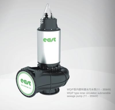 Cina Pompa subacquea a circolazione interna di tipo Wq/P (11~355kW) in vendita