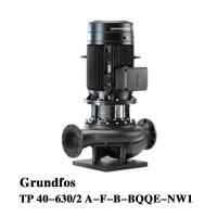 Quality Grundfos TP 40-630/2 Single-stage volute pump Main Circulating Pumps for Large for sale