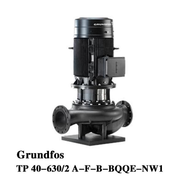 Quality Grundfos TP 40-630/2 Single-stage volute pump Main Circulating Pumps for Large for sale