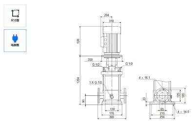 Cina Grundfos CR 20-17 in acciaio inossidabile Pompa d'acqua centrifuga verticale industriale pompe centrifuga ad alta pressione pompe per il trattamento dell'acqua pompa a più fasi pompa di potenziamento dell'acqua in vendita