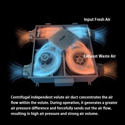 Cina Diffusore di aria fresca per uso ingegneristico 110V/220V, sistema di ventilazione meccanica con recupero di calore in vendita