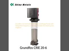 Grundfos Crie 수직 다단 원심 펌프 (난방 및 관개용 통합 주파수 변환기 포함)
