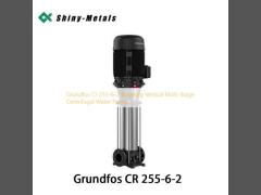 Grundfos Cr 255-6-2 Boosting Vertical Multi-Stage Centrifugal Water Pump