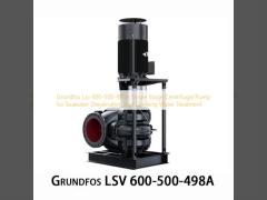 Grundfos Lsv 600-500-498A 해수 해소 및 식수 처리용 단일 단계 원심 펌프