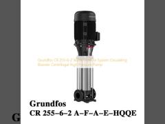 Grundfos CR 255-6-2 Wasserleitungssystem Zirkulations-Booster-Kreiselpumpe Hochdruckpumpe