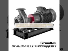 Grundfos NK 32-205 1/207 La pompa centrifuga a voluta monostadio non autoadescante è utilizzata per il riscaldamento commerciale