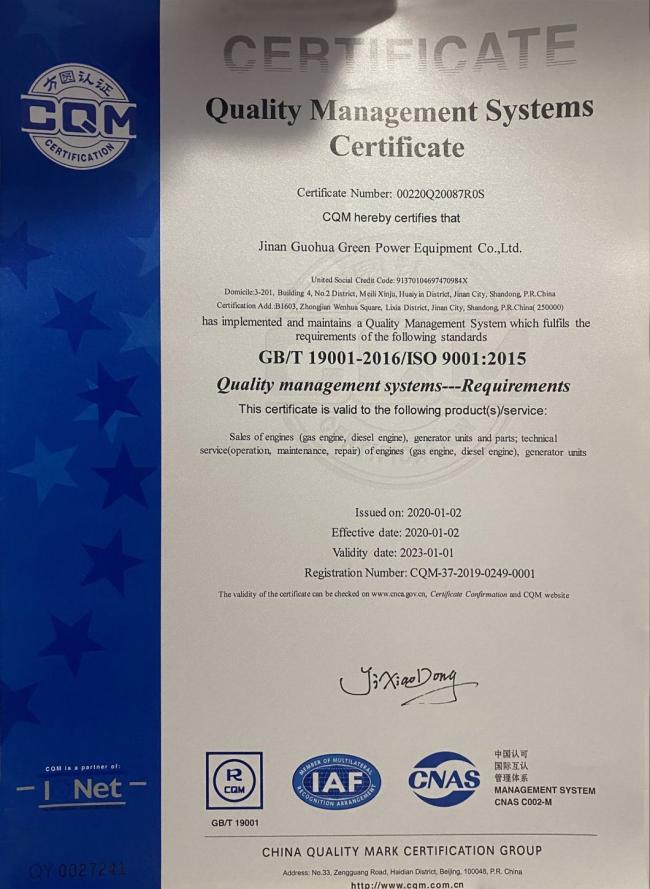 Shengdong Parts Z12V190b Engine Parts Gasket Cylinder Head Parts 12vb. 03.51