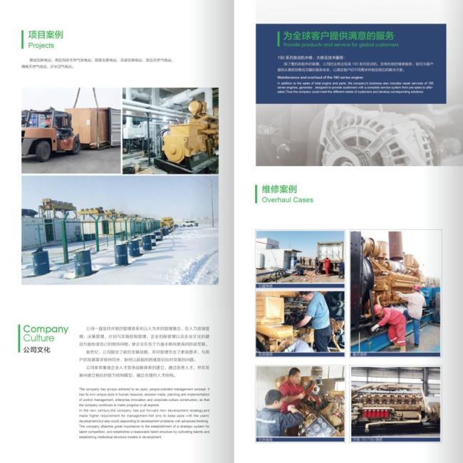 Jinan 600kVA Gas Turbine Generators Biogas Genset