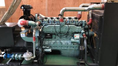 Cina T140GF-S Genset Modello T12-1 Motore Modello Sinotruk Fuqiang Power 180kw Generatore di gas in vendita