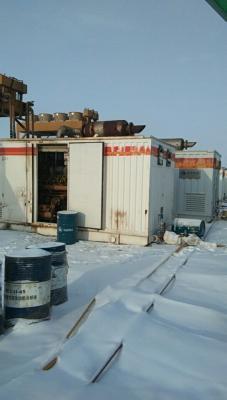 Cina Generatore a gas naturale da 500 kW per la centrale elettrica personalizzato alle vostre specifiche in vendita