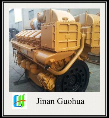 Cina 12V190 Generatore di energia a biogas personalizzazione richiesta personalizzata generatore di biogas da 500 kW in vendita
