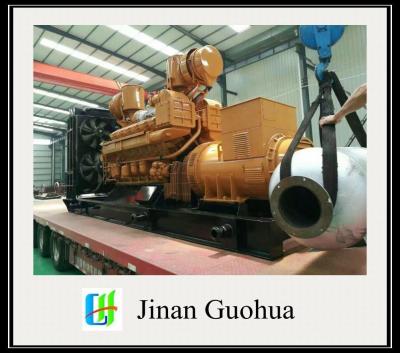 Cina 12V190 Generatore di energia a biogas personalizzazione richiesta personalizzata generatore di biogas da 500 kW in vendita