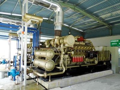 Китай Нигер 1000кВт генератор природного газа с 16V190zlt2-2 и сертификацией ISO продается