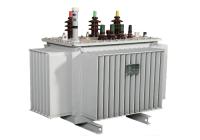 Quality Fully Sealed 10kV Oil Immersed Transformer Anti Aging Strong Insulation for sale