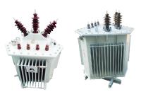 Quality Fully Sealed Toroidal Core Oil Immersed Distribution Transformer Low Noise for sale