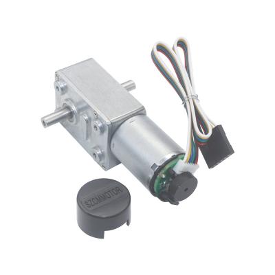 Cina Micro motore innestato verme elettrico 6V 12V 24V 6-150RPM dell'asse di CC doppio in vendita