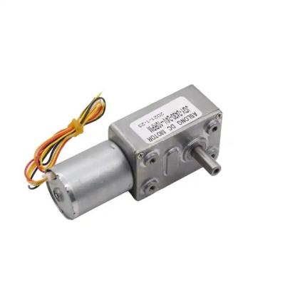 China Built In Brushless Motor JGY-2430 12V DC Worm Gear Motor Dc Worm Gear Motor Low Speed High Torque for sale