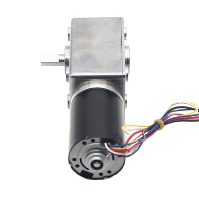 China Dc Worm Gear Motor 24v Worm Gear Motor 24v Metallic Gears A5882-4260 High Torque Dc Motor for sale