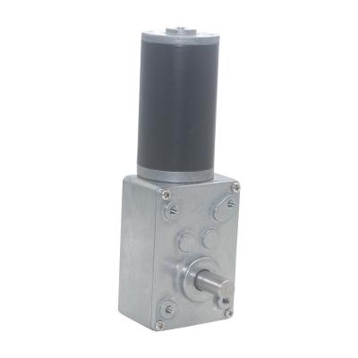 China 5840 31zy DC Worm Gear Motors Type D Shaft 24v Gear Motor With Encoder for sale