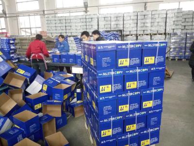 Cina Conveniente carta da ufficio A4 da 210*297 mm per la scrittura e la copia in vendita