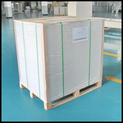 Cina NO Rollo di carta inossidabile per fatture di carta Dimensioni personalizzate in vendita