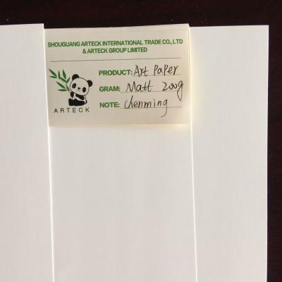 China Accepts Custom Order for Wood Pulp White Couch Jumbo Roll Raw Paper Materials C2s for sale