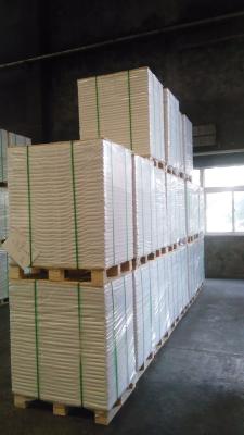 Cina 110*68*12mm Ordine su misura Poplar C1S Carta avorio rivestita/ FBB/ Bristol Paper Roll in vendita
