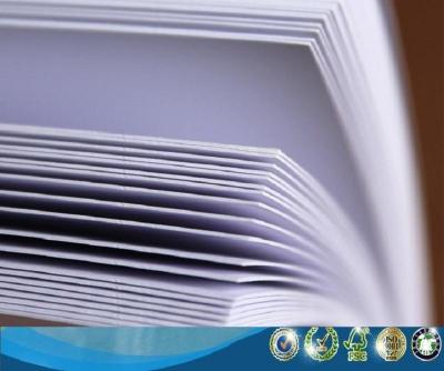 Cina FBB/Fold C1S Folding BOX BOARD/Ivory Board per la protezione dall'umidità in vendita