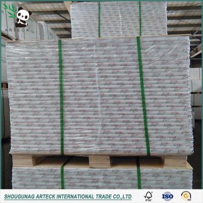 China Ningbo Fold C1S/FBB/Ivory Board voor verpakking en drukwerk 711*1118 Te koop