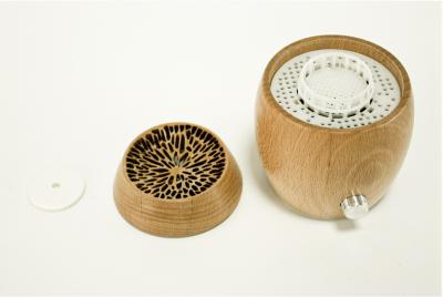 Cina Appanni la sala da pranzo leggera calda 1500maH del diffusore di bambù del profumo del fan 8 ore in vendita