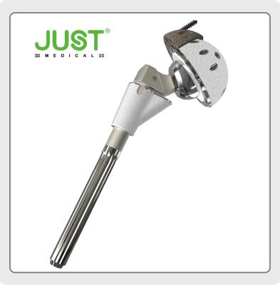 China Asm Hip Joint System for sale