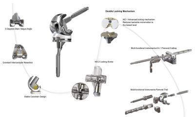 China High Flexion Hybrid Total Knee System for sale