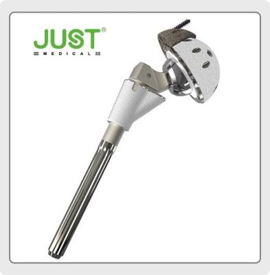China Primary Hip prosthesis for sale
