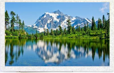 中国 TFTが450匹のNitが付いているLCD表示モジュールを着色する5.0インチ800x480の点は写真フレームのためにバックライトを当てる 販売のため