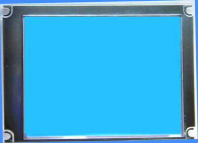 China 5,0 módulo gráfico STN VA transmisivo azul 79.8x60.6m m de la exhibición de V 320x240 lcd en venta