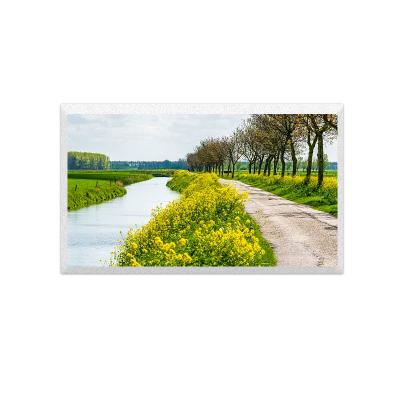 중국 TM070RDHG34 티안마 7.0Inch 산업적 Tft LCD 모듈  800x480은 50개 핀 RGB 인터페이스에 점을 찍습니다 판매용