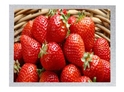 중국 ＳＶＧＡ 산업적이 TFT 액정 표시 장치 디스플레이 화면 EJ080NA-05B CHIMEI INNOLUX 8.0 인치 800x600 도트 판매용