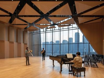 China Training Room 3D Triangle Micro Perforated Acoustic Diffuser Ceiling Tile Wooden Sound Absorption for sale