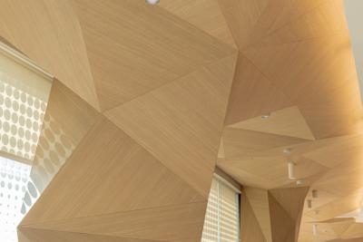 China 3D Driehoek 2/2/0.5mm Plafondtegels NANO Microgeperforeerde Geluidsabsorberende Akoestische Plaat Te koop