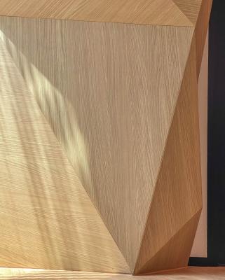 China 3D Driehoek 2/2/0.5mm Plafondtegels NANO Microgeperforeerde Geluidsabsorberende Akoestische Plaat Te koop